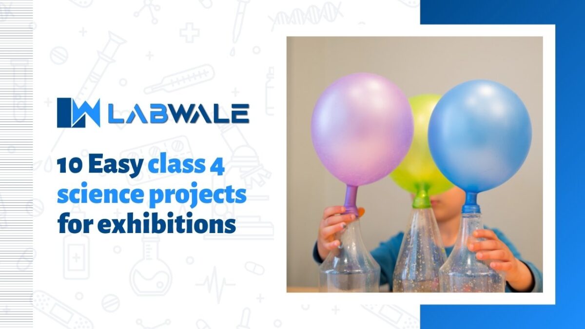 10 Easy Class 4 Science Projects for Exhibitions | Lab Wale