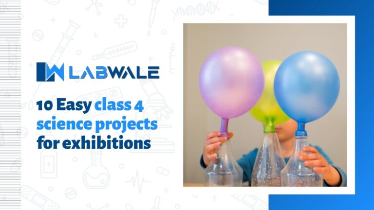 10 Easy Class 4 Science Projects for Exhibitions | Lab Wale