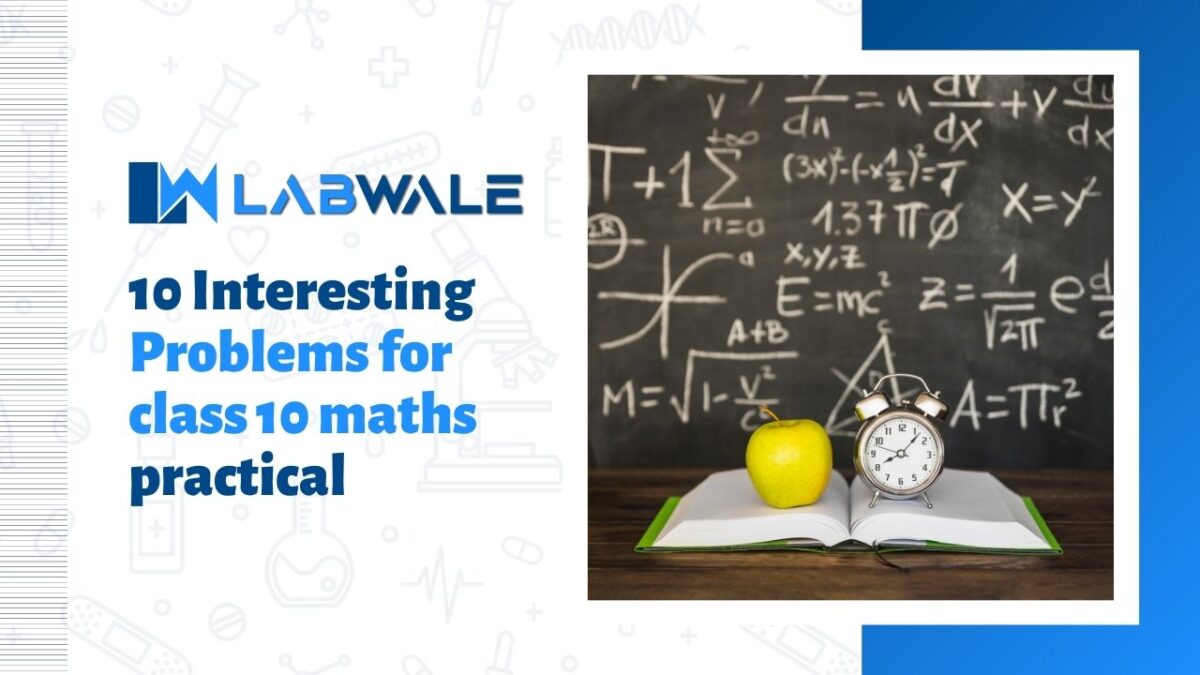 10 Interesting Problems for Class 10 Maths Practical