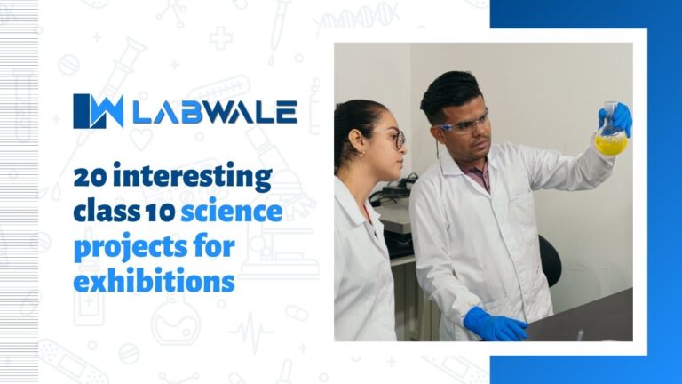 20 Interesting Class 10 Science Projects for Exhibitions