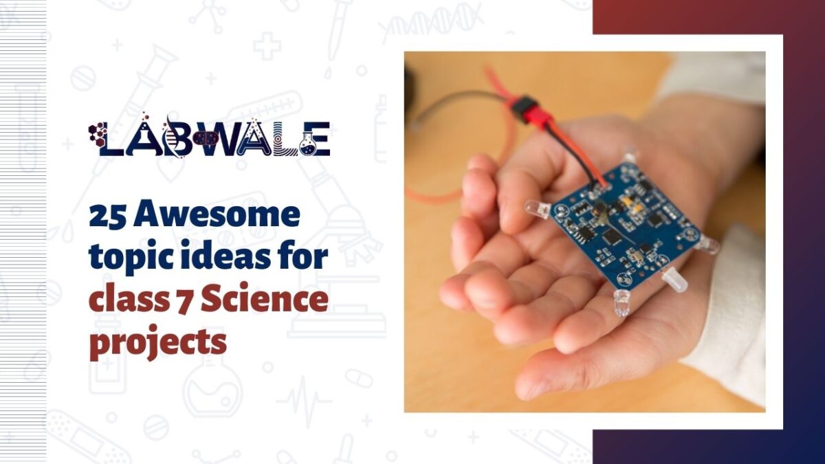 25 Awesome topic ideas for class 7 Science projects - Lab Wale
