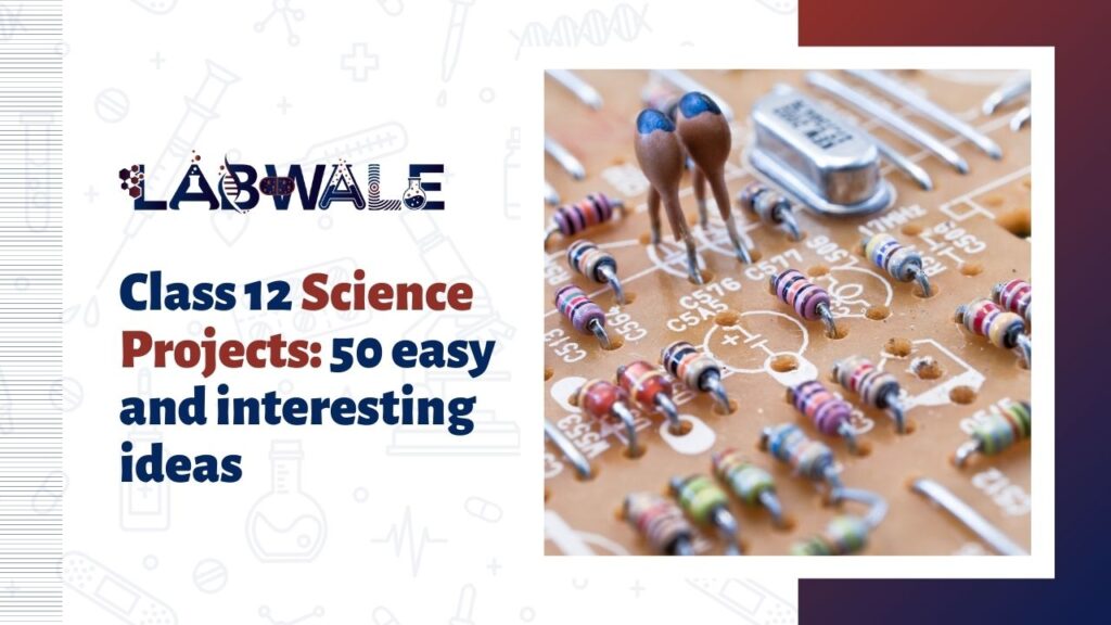Class 12 Science Projects: 50 easy and interesting ideas