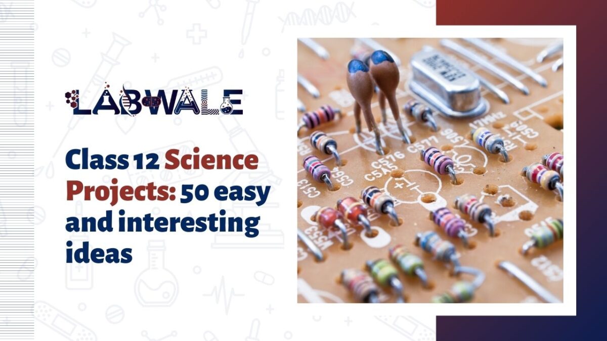 Class 12 Science Projects: 50 easy and interesting ideas