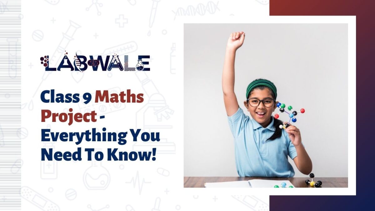 Class 9 Maths Project - Everything You Need To Know