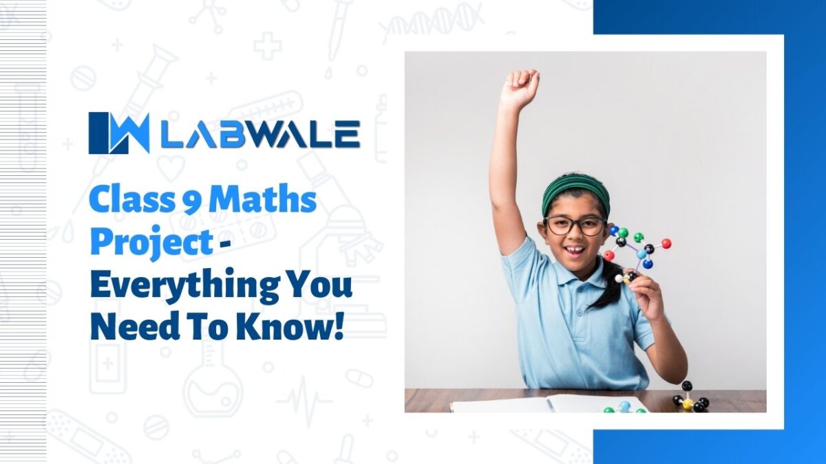 Class 9 Maths Project - Everything You Need To Know