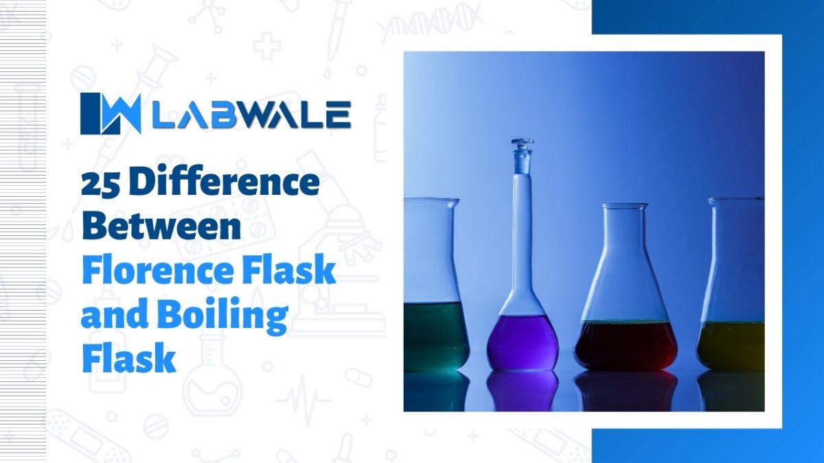 25 Difference Between Florence Flask and Boiling Flask 25 Difference Between Florence Flask and Boiling Flask