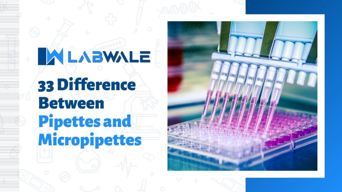 33 Difference Between Pipettes and Micropipettes