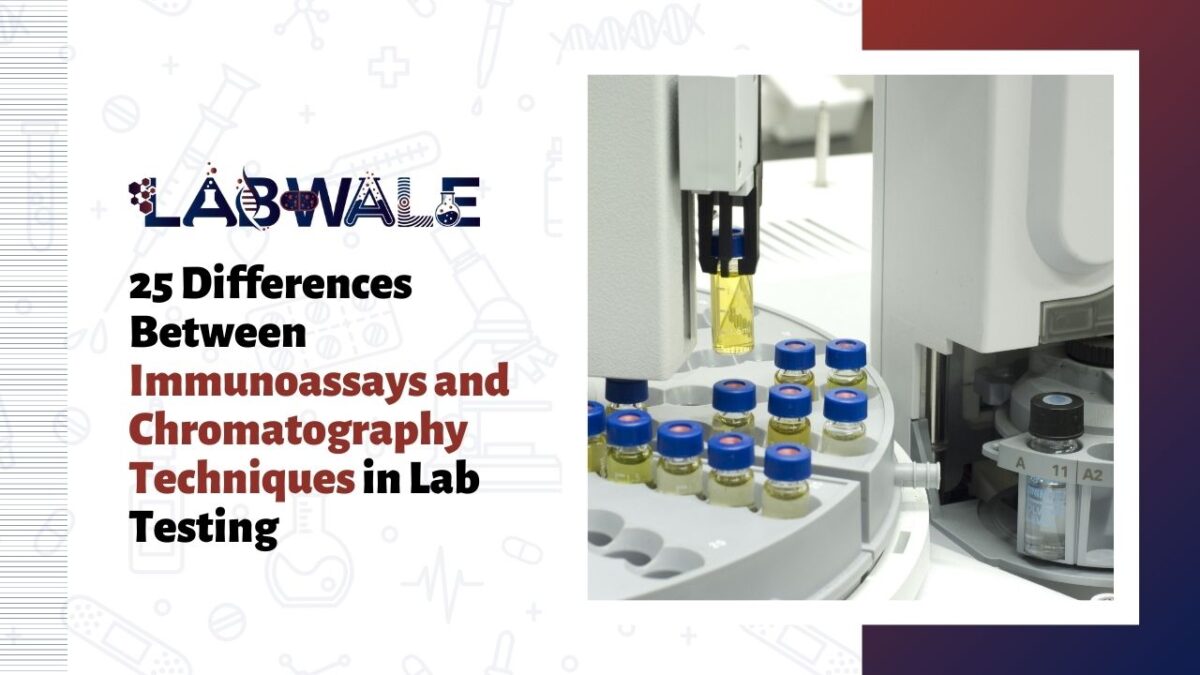 Lab Wale, Author at Lab Wale