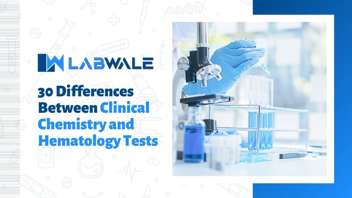Differences Between Clinical Chemistry and Hematology Tests