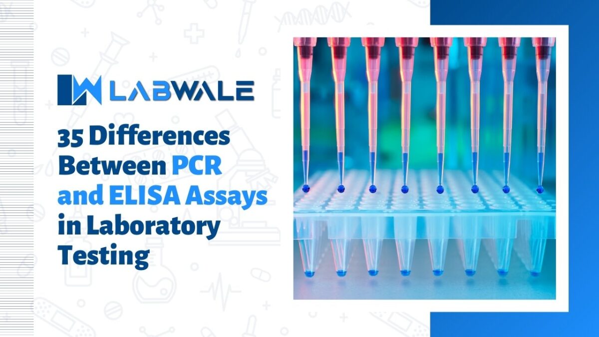 35 Diff Between PCR and ELISA Assays in Laboratory Testing