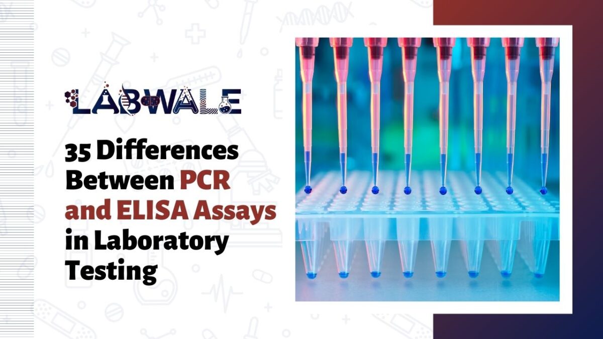 35 Diff Between PCR and ELISA Assays in Laboratory Testing