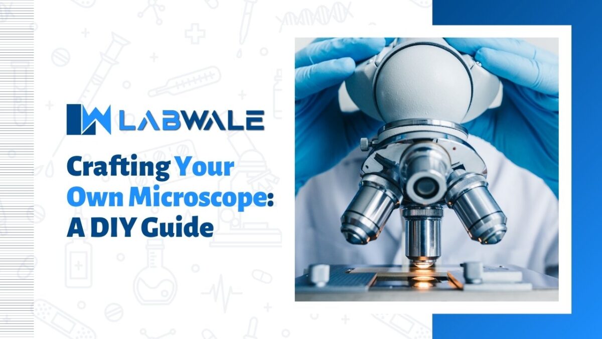 Crafting Your Own Microscope: A DIY Guide Crafting Your Own Microscope: A DIY Guide