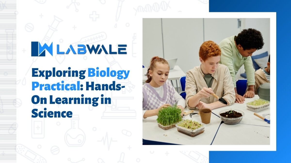 Exploring Biology Practical: Hands-On Learning in Science