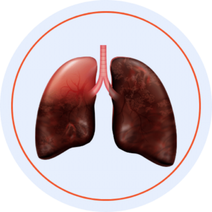 Lab Wale - Explore, Discover, Grow