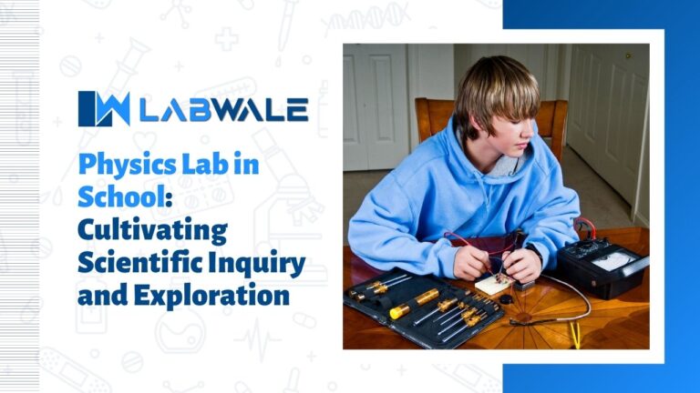 Physics Lab in School: Cultivating Scientific Inquiry and Exploration