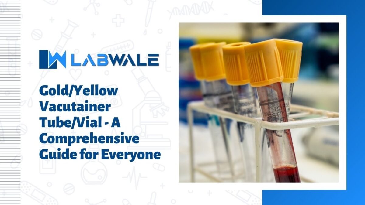 Gold/Yellow Vacutainer Tube/Vial - A Comprehensive Guide