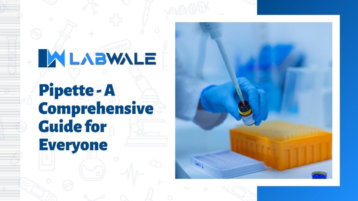 Pipette - A Comprehensive Guide for Everyone