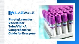 Purple/Lavender Vacutainer Tube/Vial - A Comprehensive Guide